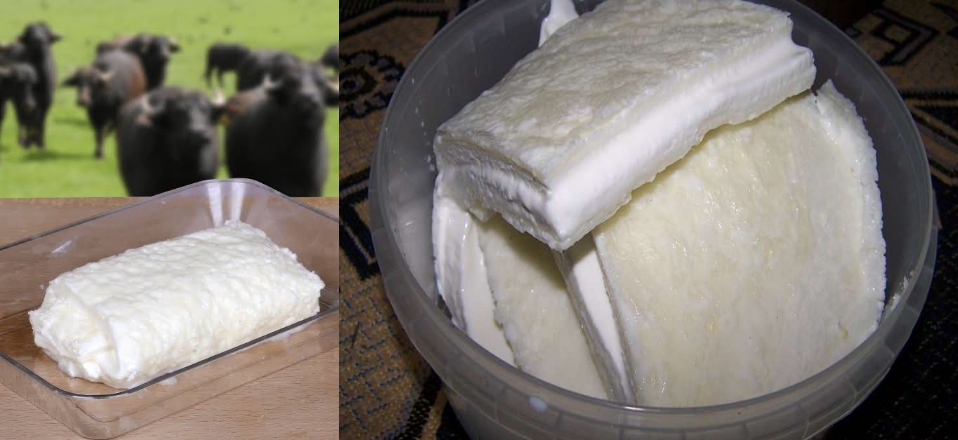 BOLU MANDA KAYMAĞI DA TESCİL EDİLDİ - Bolu Takip Gazetesi, Bolu ...