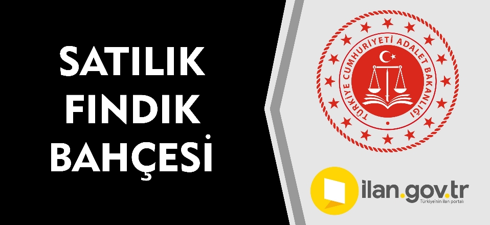 SATILIK FINDIK BAHÇESİ - Bolu Takip Gazetesi