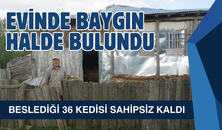 Evinde baygın halde bulundu, beslediği 36 kedisi sahipsiz kaldı - Bolu ...